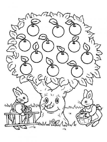 Ausmalbilder Apfelbaum - Malvorlagen Kostenlos zum Ausdrucken