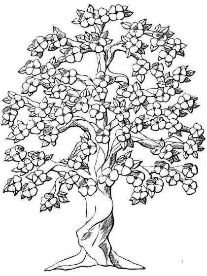 Ausmalbilder Apfelbaum - Malvorlagen Kostenlos zum Ausdrucken