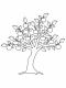 Ausmalbilder Apfelbaum - Malvorlagen Kostenlos zum Ausdrucken