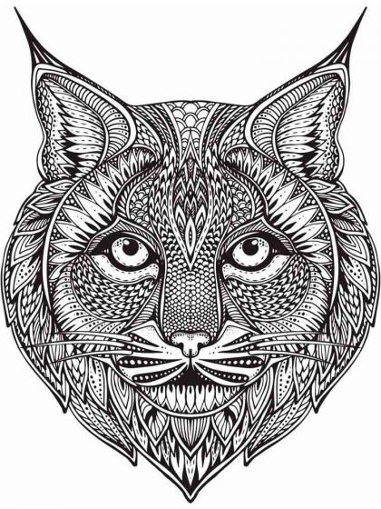 Ausmalbilder Luchs für Erwachsene - Kostenlose Malvorlagen