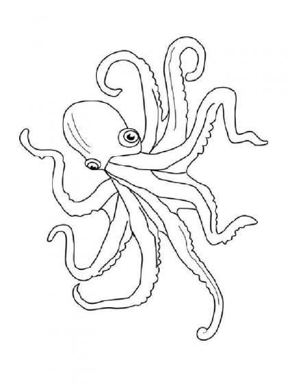 Ausmalbilder Krake - Malvorlagen Kostenlos zum Ausdrucken