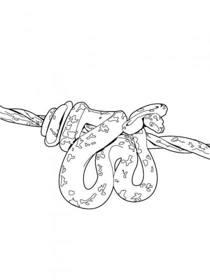 Ausmalbilder Python - Kostenlose Malvorlagen