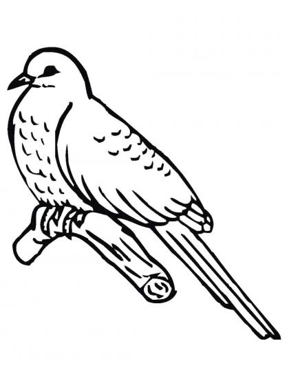 Ausmalbilder Kuckuck - Malvorlagen Kostenlos zum Ausdrucken Ausmalbilder Kuckuck - Malvorlagen Kostenlos zum Ausdrucken