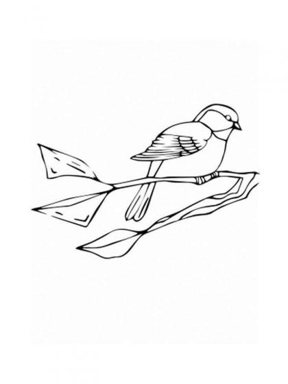 Ausmalbilder Meise - Malvorlagen Kostenlos zum Ausdrucken