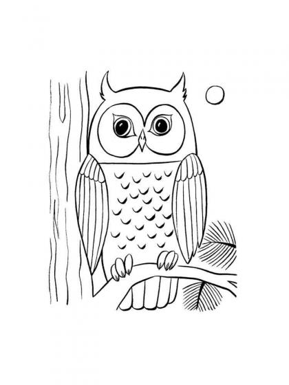 Ausmalbilder Uhu - Malvorlagen Kostenlos zum Ausdrucken