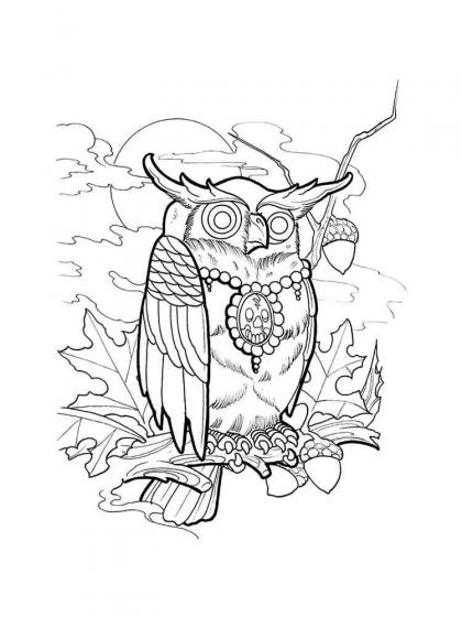 Ausmalbilder Uhu - Malvorlagen Kostenlos zum Ausdrucken