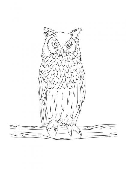 Ausmalbilder Uhu - Malvorlagen Kostenlos zum Ausdrucken