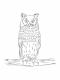 Ausmalbilder Uhu - Malvorlagen Kostenlos zum Ausdrucken